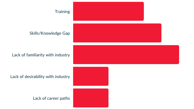 Digital Transformation in Telecoms: A People Centered Approach
